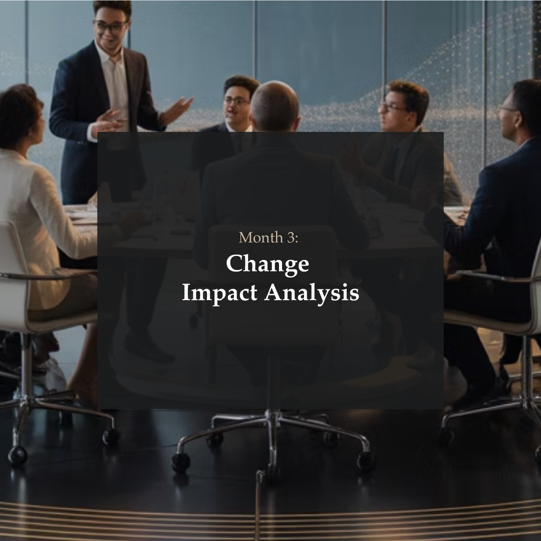 Change Impact Analysis – Dinaledi Institute